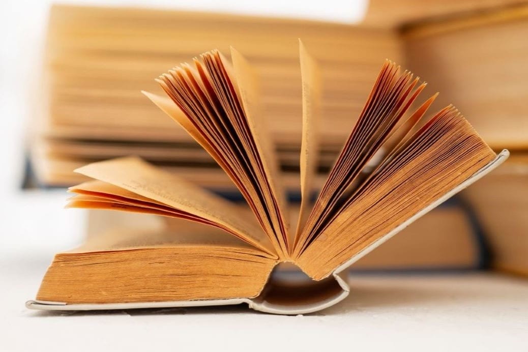 Libros, poesía y cultura: Veracruz vibra en el Día Mundial del Libro ...